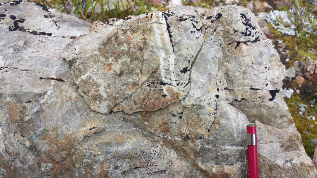 CLIFF MILES PORPHYRY CORRIDOR - Metallis Resources